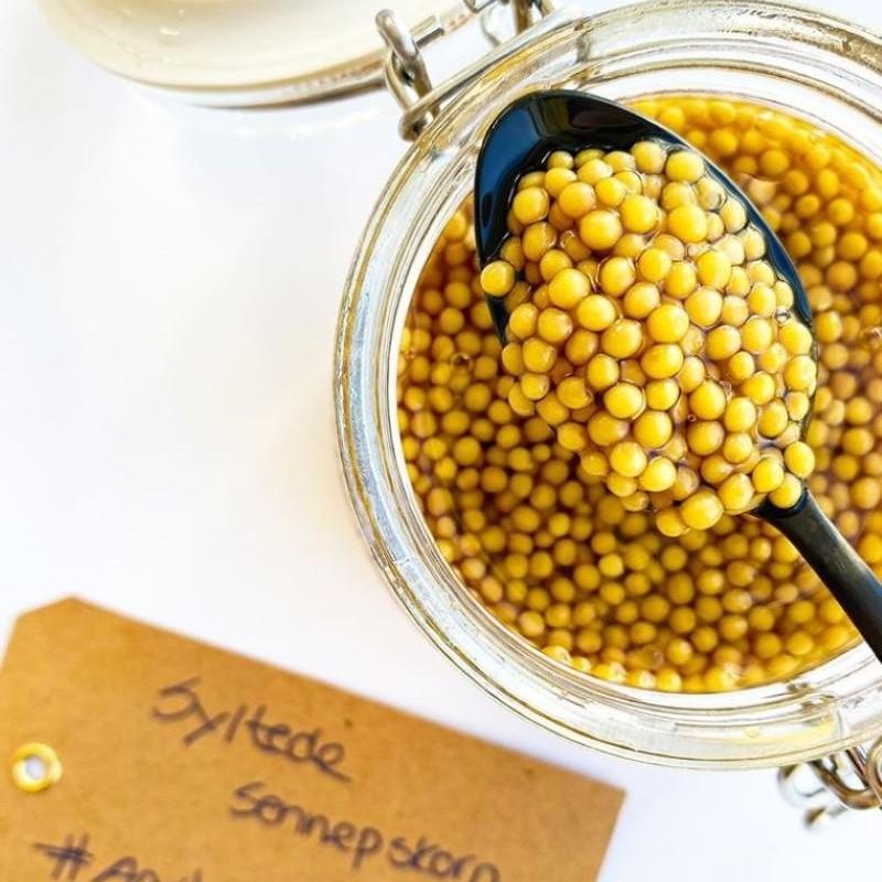 Pickled Mustard Seeds - GastroFun.net