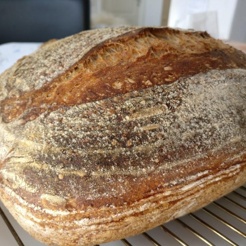 Cold-fermented bread with purple wheat - GastroFun.net