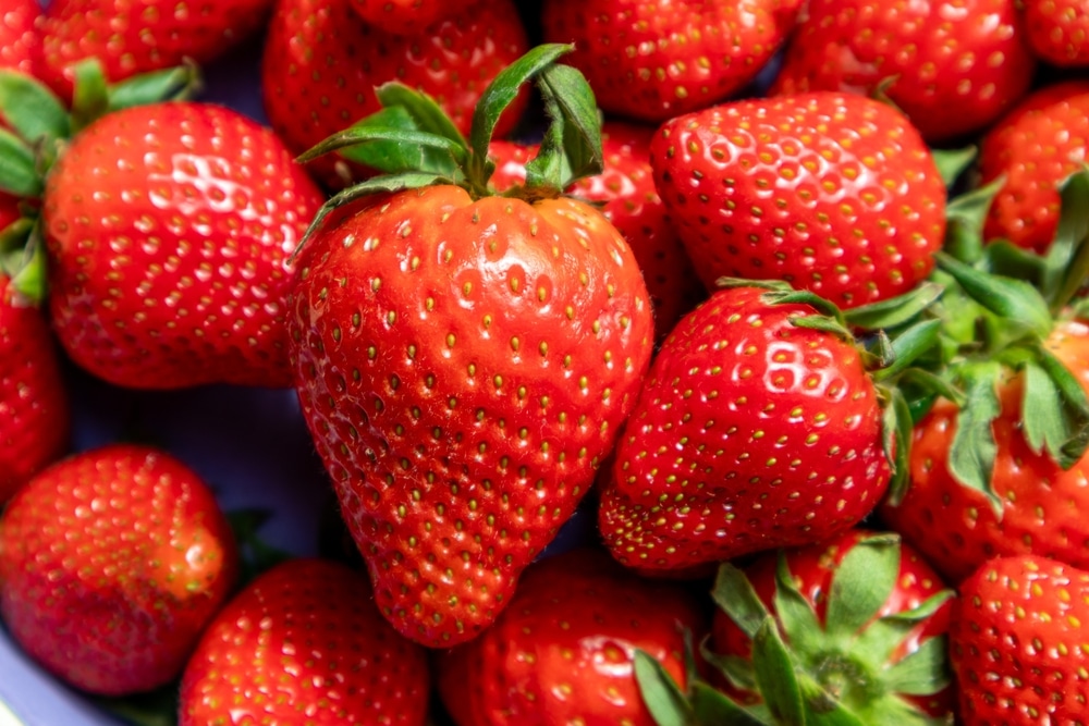 10 Flu-Fighting Berries to Keep You Healthy This Season - GastroFun.net