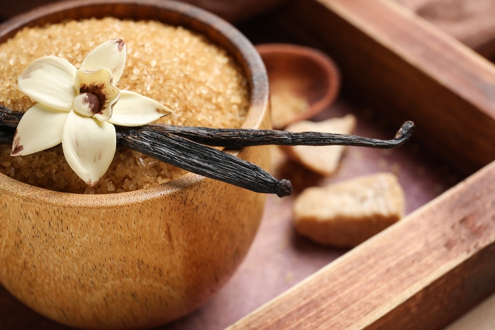 Why Vanilla Is Still the World’s Favorite Flavor - GastroFun.net